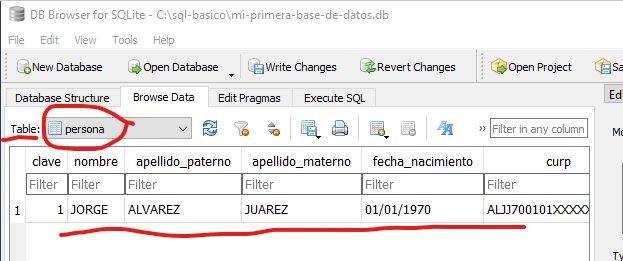 Sql Básico Agregar Datos A Una Tabla Con Sql Scyasig